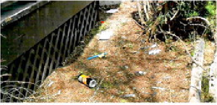 Resident Upset About Mess In Wolf Point - Northern Plains Independent